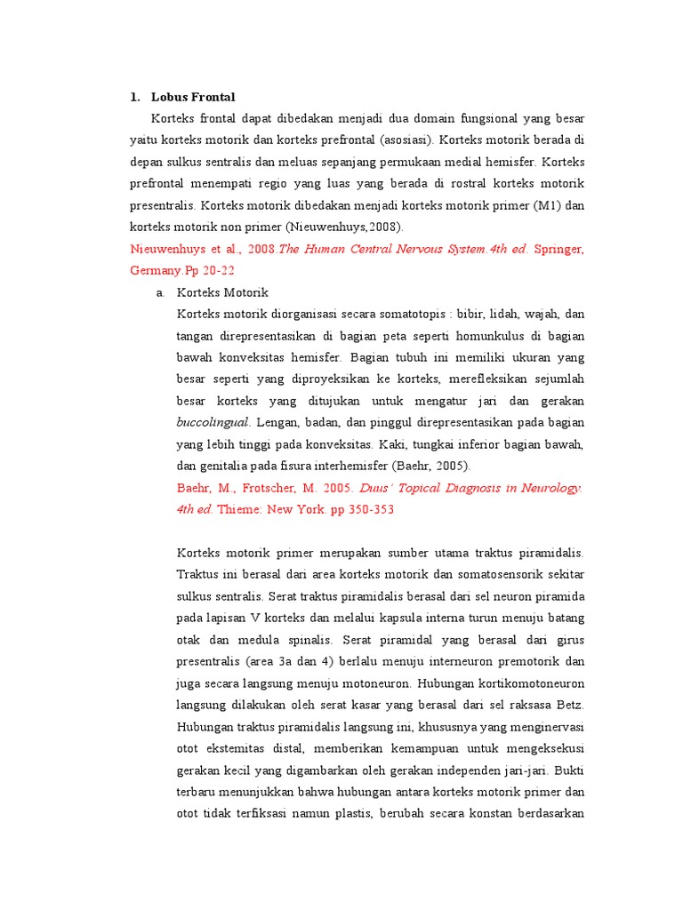 Fungsi dan Struktur Lobus Prefrontal | PDF