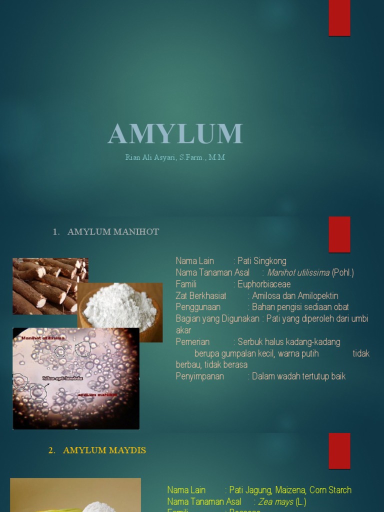 AMYLUM | PDF