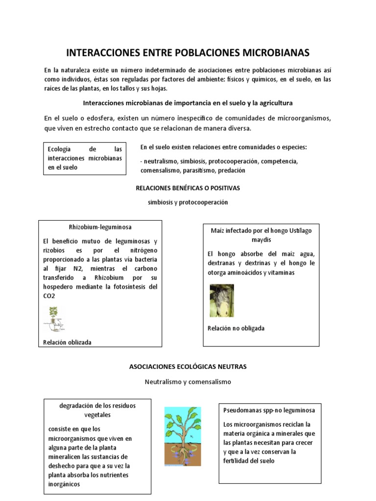 Interacciones Entre Poblaciones Microbianas | PDF | Suelo | Microorganismo