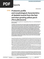 Fish Muscular System Overview | PDF | Skeletal Muscle | Fish