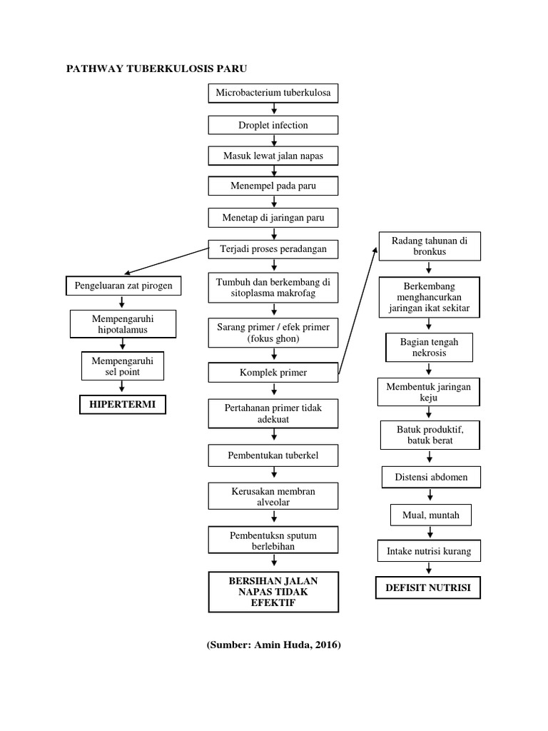 Woc Tuberkulosis Paru | PDF