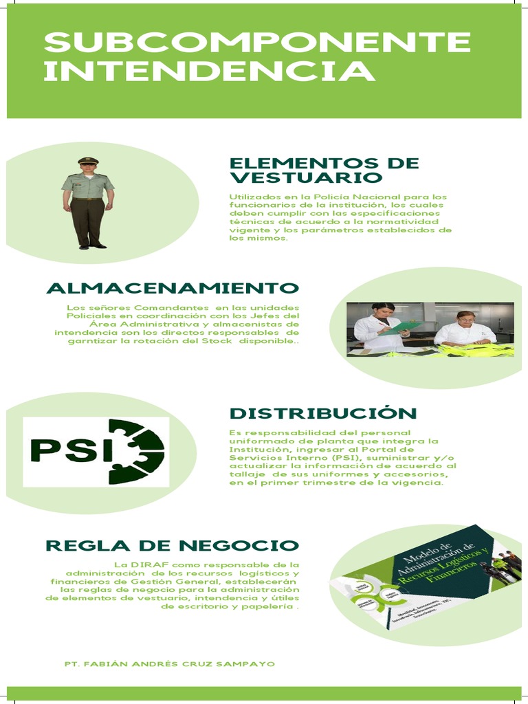 Subcomponente Intendencia Administracion de Recursos Basicos 1 | PDF