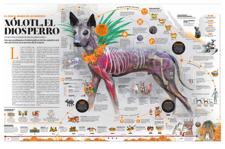 Xoloescuintle Infografia | PDF