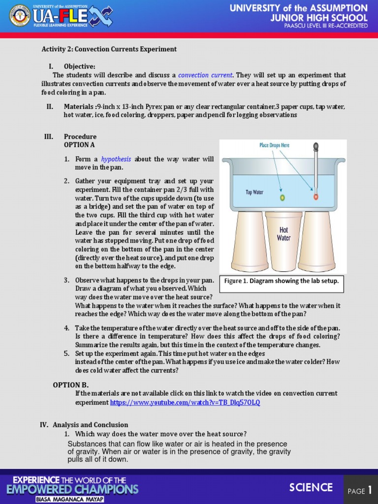 Convection Current Experiment | PDF | Earth | Plate Tectonics