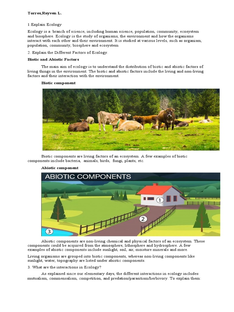 MODULE 1 (Assignment) | PDF | Ecology | Ecosystem