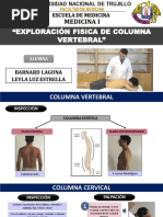 Prueba de Adams | PDF | La columna vertebral | Escoliosis