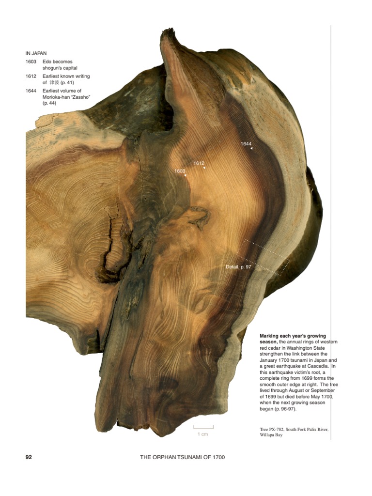 The Orphan's Parent The Orphan Tsunami of 1700 | PDF | Tsunami ...