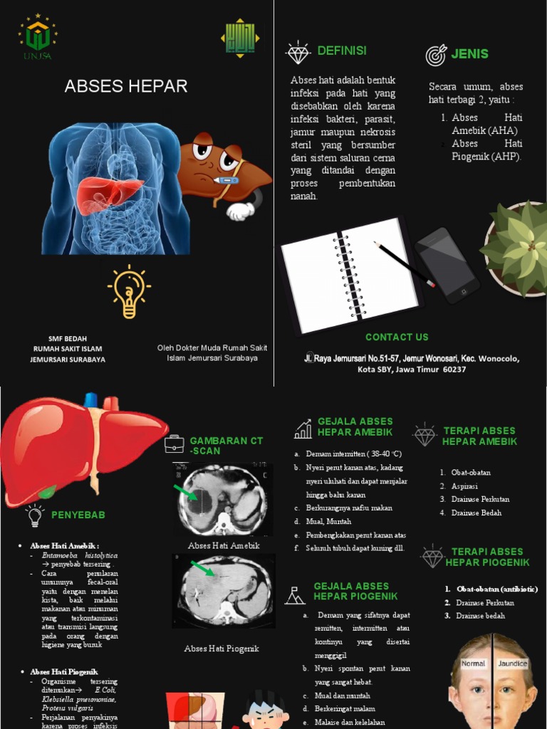 Abses Hepar Leaflet | PDF