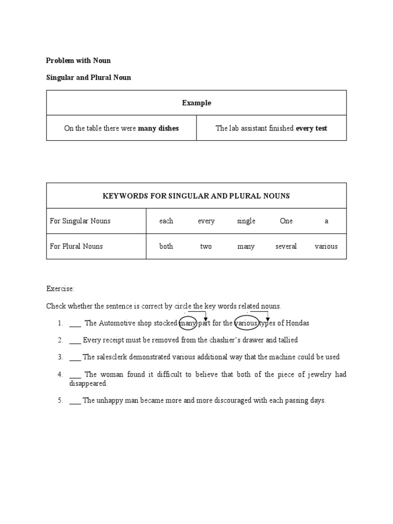 Problem With Noun Singular and Plural Noun Example | PDF | Plural | Noun