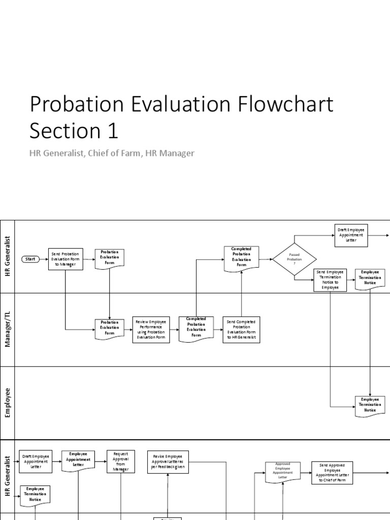 A Visual Guide to the Probation Evaluation and Employee Appointment ...