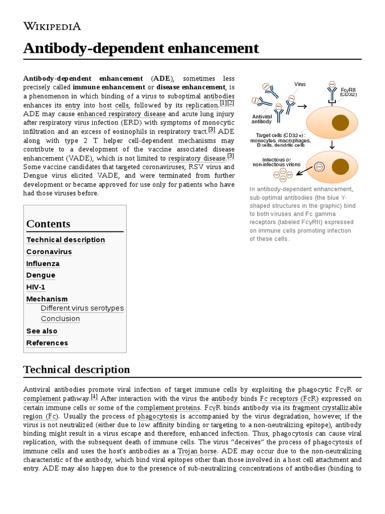 Antibody-Dependent Enhancement (ADE), Sometimes Less | PDF | Medicine ...