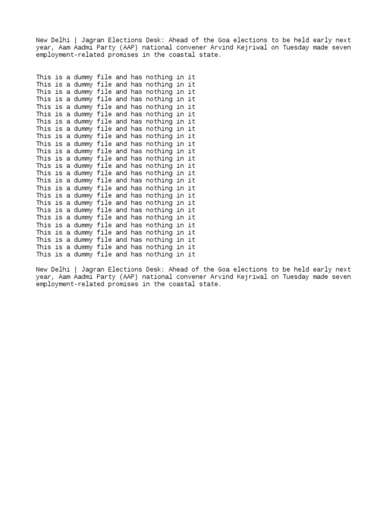 Dummy File | PDF