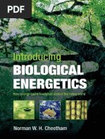 Bates-Jensen Wound Assessment Tool (BWAT) | PDF | Skin | Edema