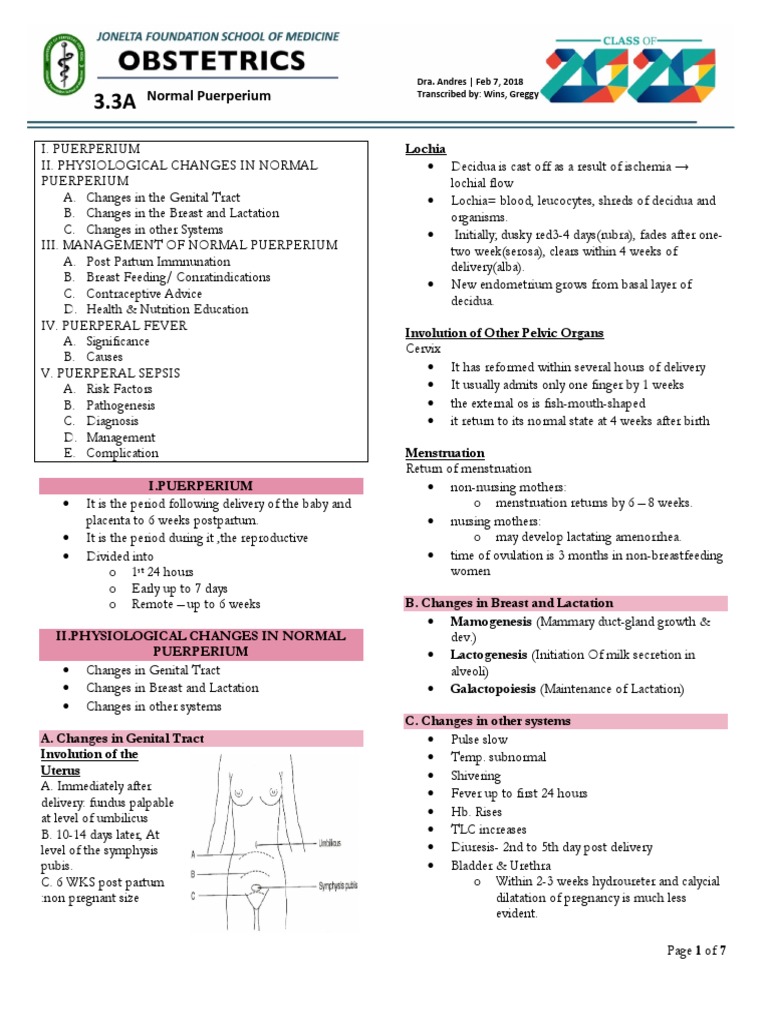 OB1 3.3A Normal Puerperium and Puerperal Fever | PDF | Postpartum Period | Childbirth