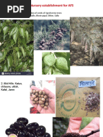 Agri SBA Crop Production | PDF | Lettuce | Fertilizer