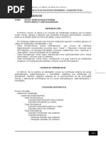 Anatomía de Aletas en Peces | PDF | Cordados | Pescado