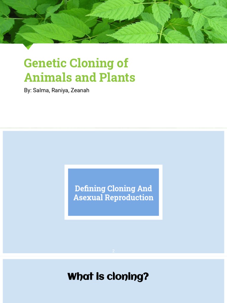 Natural Cloning in Animal and Plants | PDF | Reproduction | Sexual ...