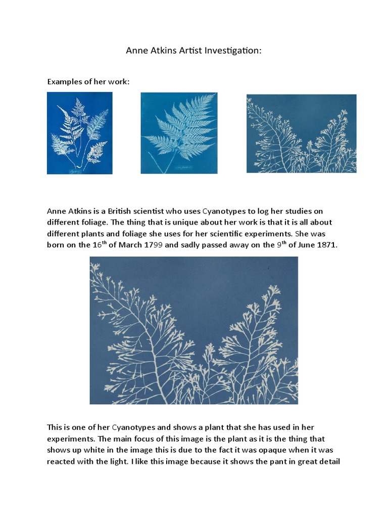 Anne Atkins Artist Investigation | PDF | Art