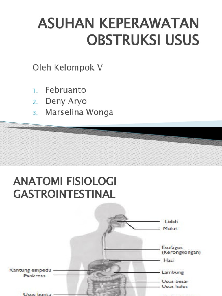 Askep Obstruksi Usus Kel V | PDF
