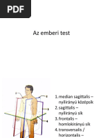 Az Emberi Test Felépítése Anatómia Ápolás | PDF