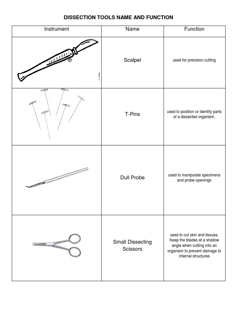 Dissecting Tools | PDF
