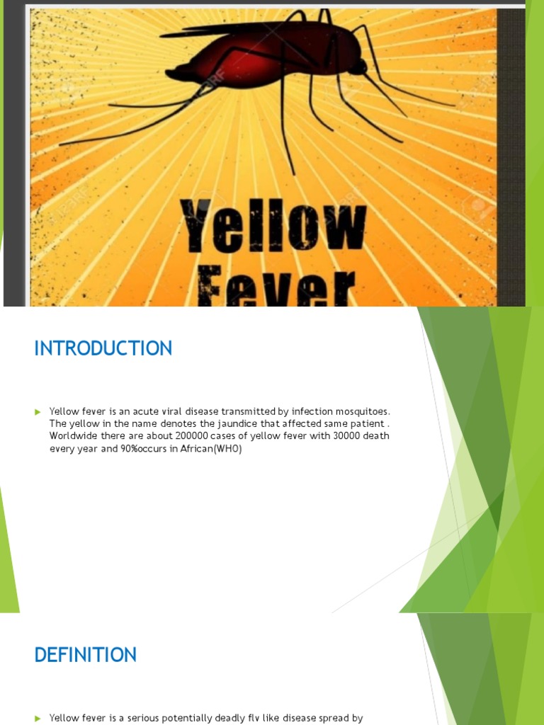 Yellow Fever | PDF | Yellow Fever | Infection