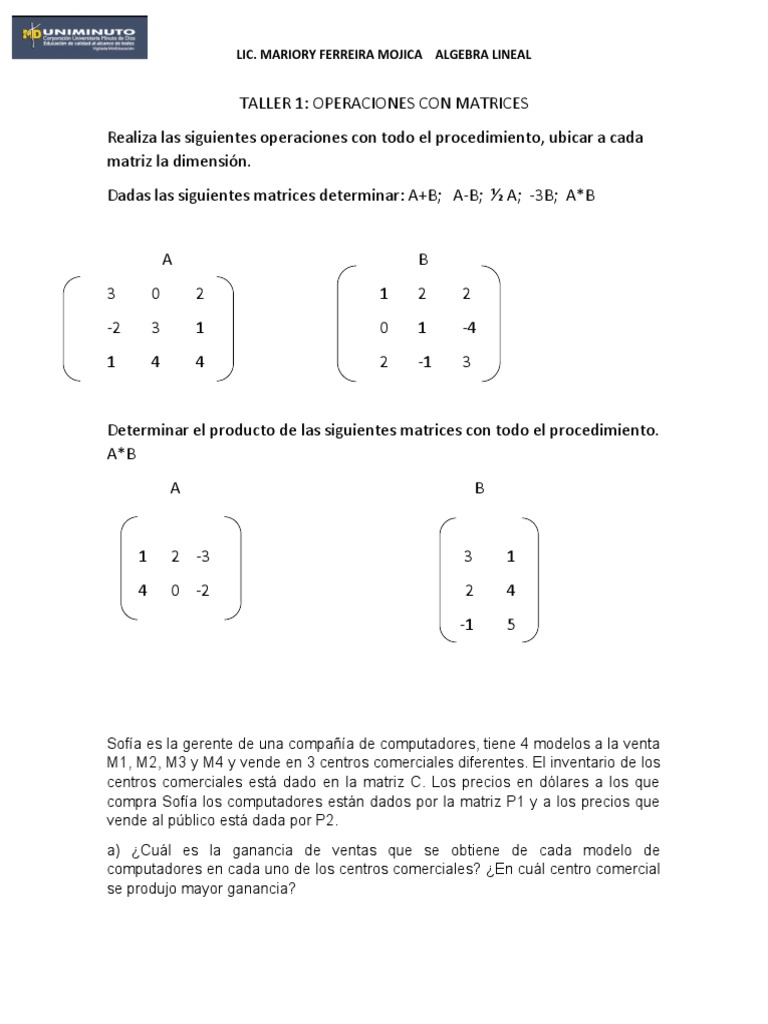 Operaciones con Matrices en Álgebra Lineal | PDF | Matriz (Matemáticas ...