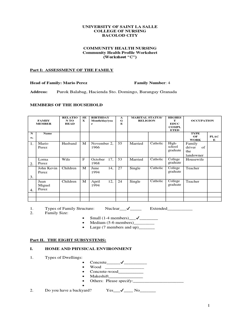 Community Health Profile Worksheet (Worksheet C) | PDF | Telephone ...