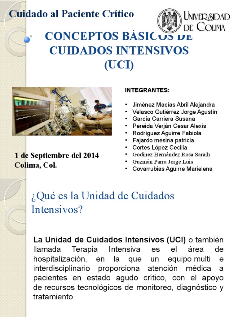 Conceptos Básicos de Cuidados Intensivos (UCI) : Cuidado Al Paciente Crítico | PDF | Unidad de ...