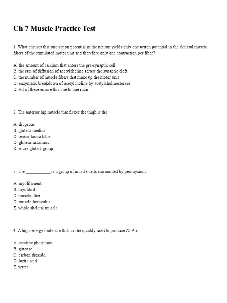 CH 7 Muscle Practice Test | PDF | Acetylcholine | Chemical Synapse