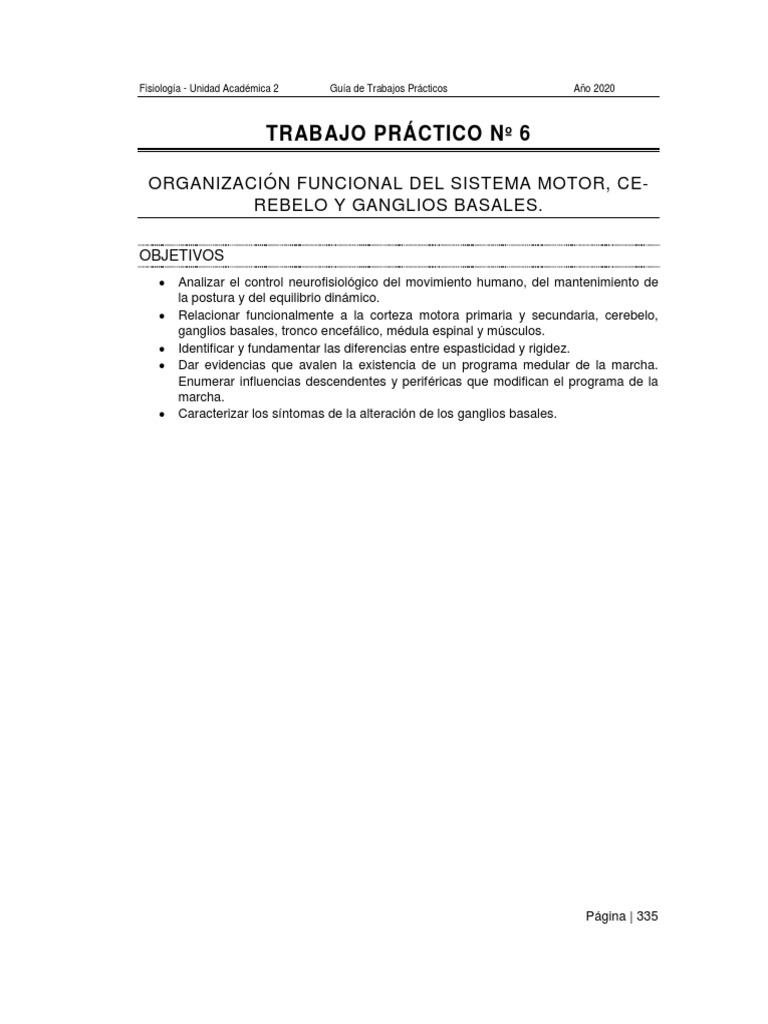 Guía de TP Neuro - 6 | PDF | Cerebelo | Ganglios basales