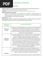 Desarrollo Argumentativo Escolar | PDF | Educación primaria