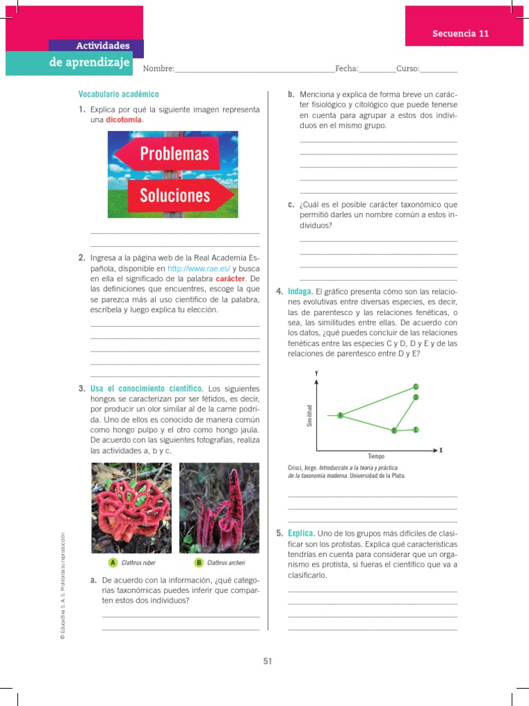 Secuencia 11 - Actividad de Aprendizaje - Taxonomía y Sistemas Actuales ...