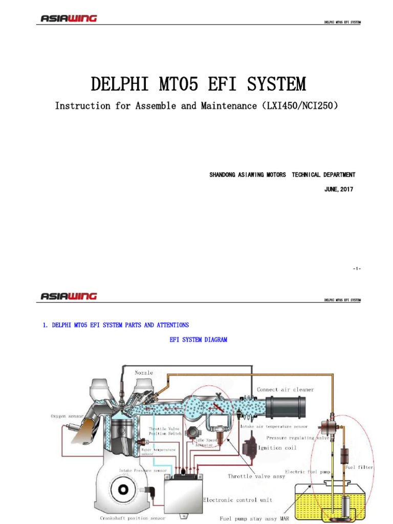 Manual of EFI System | PDF | Throttle | Fuel Injection