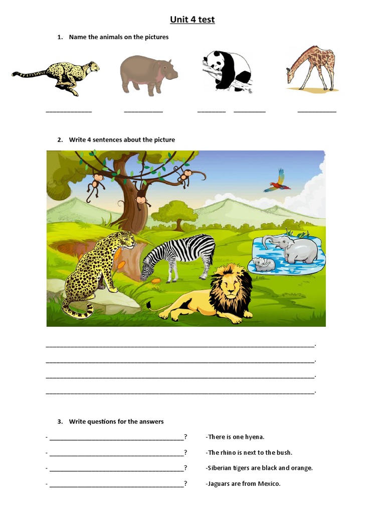 Wild Animals - Exercises | PDF