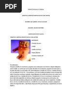 Proyecto Final Wall-E | PDF | Robot | Robótica