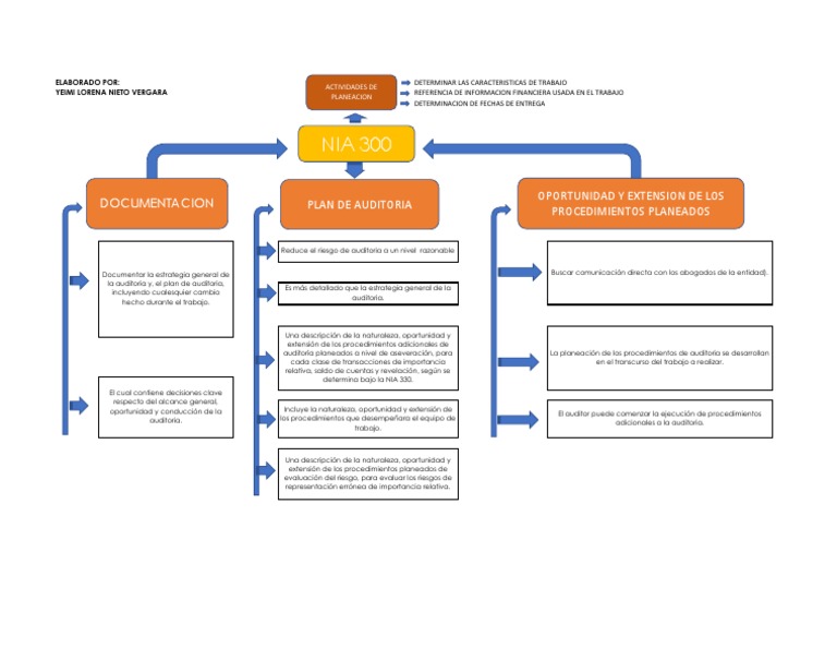 Mapa Conceptual Nia 300 | PDF | Auditoría | Business