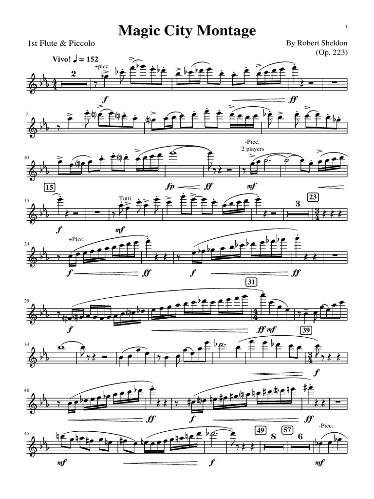 Magic City Montage for Flute & Piccolo | PDF | Classical Music ...