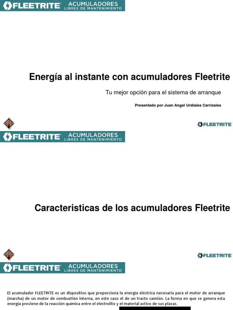 Fleetrite Baterias | PDF | Batería recargable | Corriente eléctrica