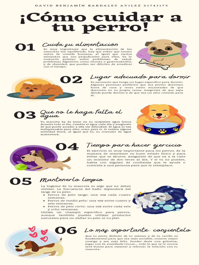 Cómo Cuidar A Tu Perro | PDF | Agua
