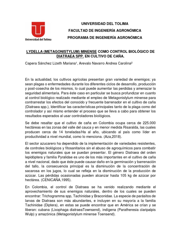 Metagonistylum Minense Como Control Biológico de Diatraea SPP | PDF ...