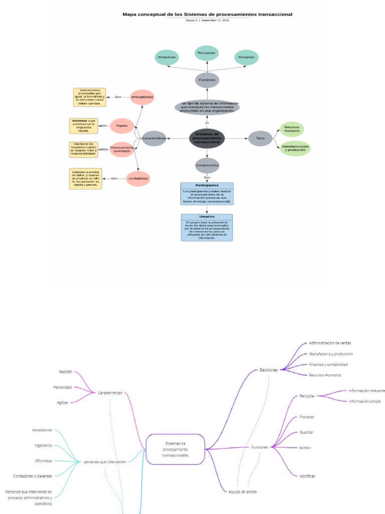 Sistemas de Procesamiento Transaccional-Mapa Conceptual y Mental | PDF