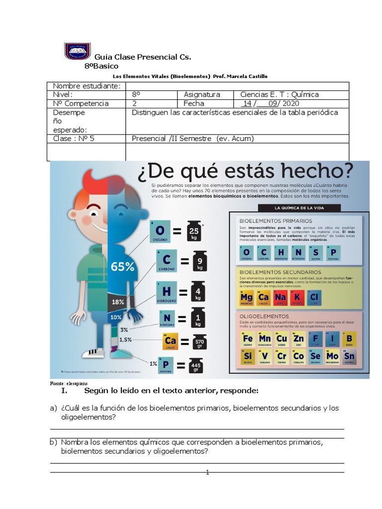 Guia Clase Presencial 5 Ciencias 8º | PDF | Ciencia y matemáticas