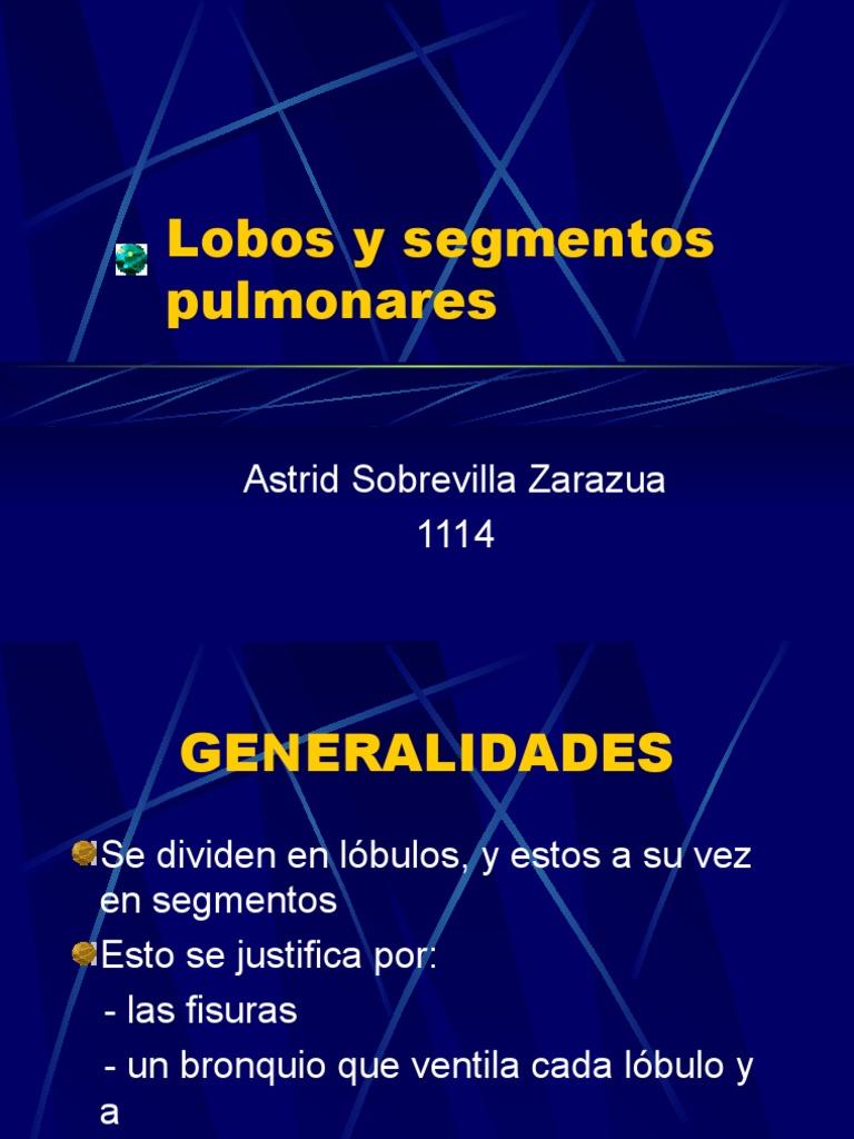 Lobos y Segmentos Pulmonares | PDF | Pulmón | Anatomía