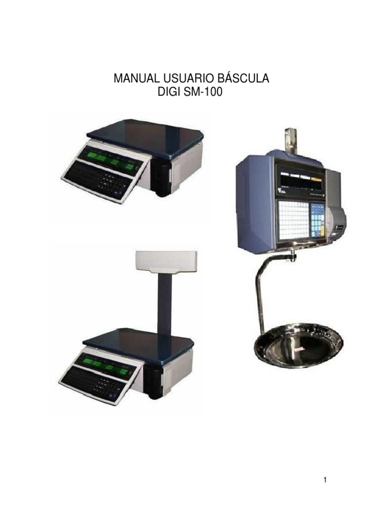 Manual Usuario Bascula | Descargar gratis PDF | Informática