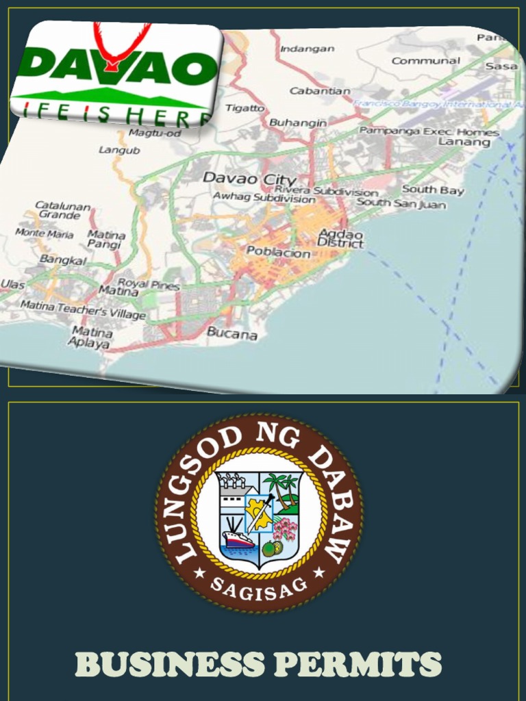 Davao City Business Permit Guide | PDF | Taxpayer | Taxes