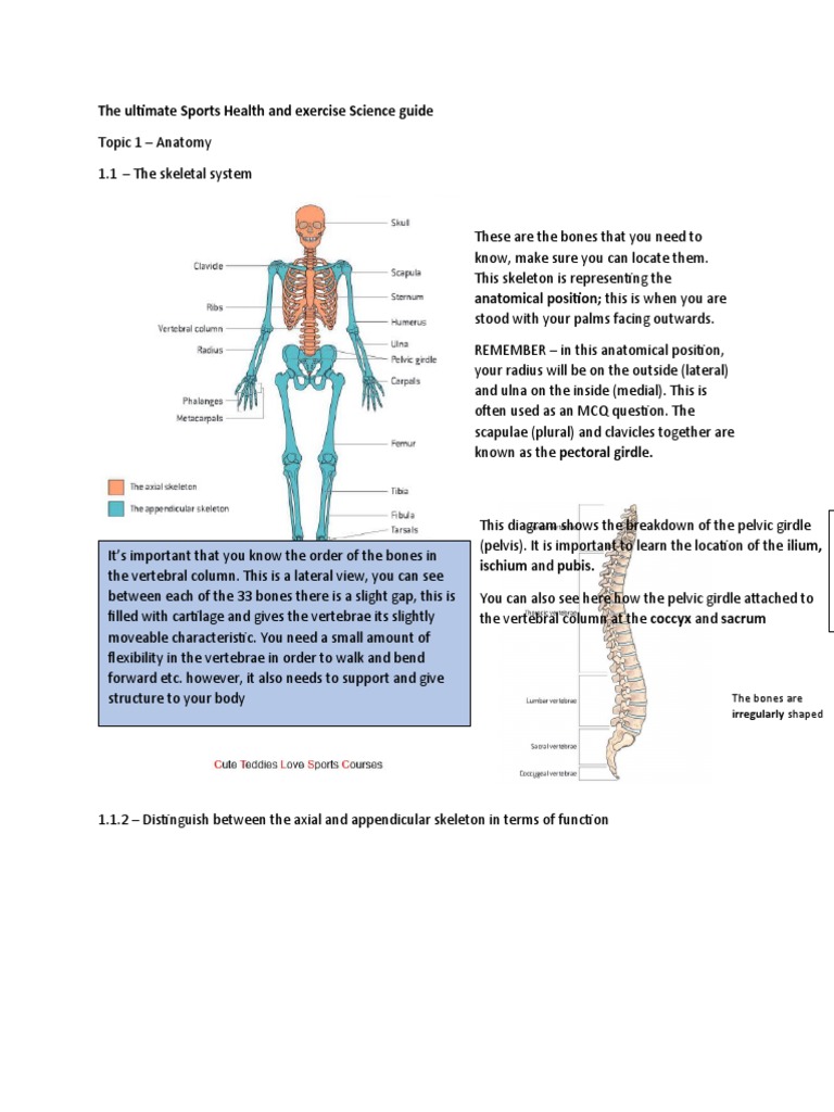 Sports Health & Exercise Science Guide | PDF | Heart | Knee
