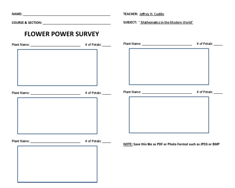 Flower Power Math Survey Template | PDF
