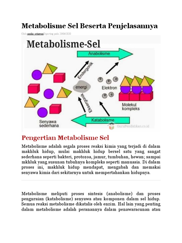 Lanjutan Metabolisme (Mekanisme Kerja Enzim) | PDF | Pengembangan Diri