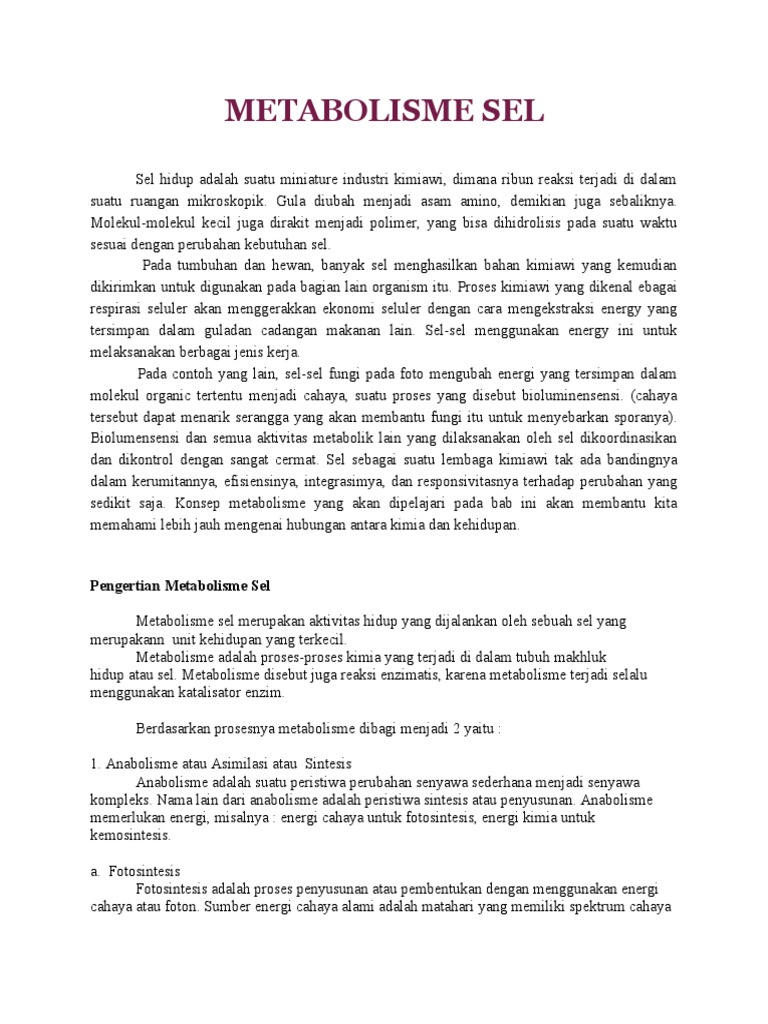 Metabolisme Sel | PDF